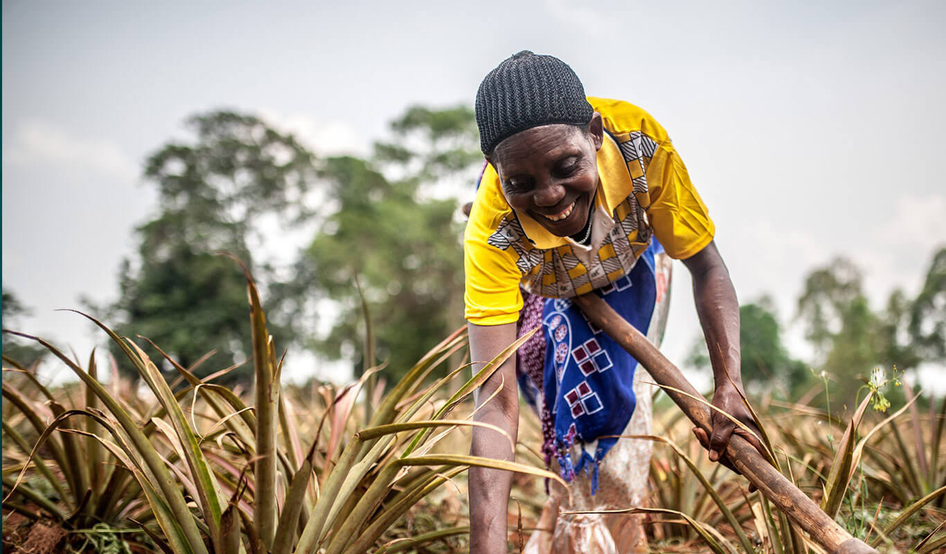 Food and Sustainable Livelihoods - Oxfam Canada