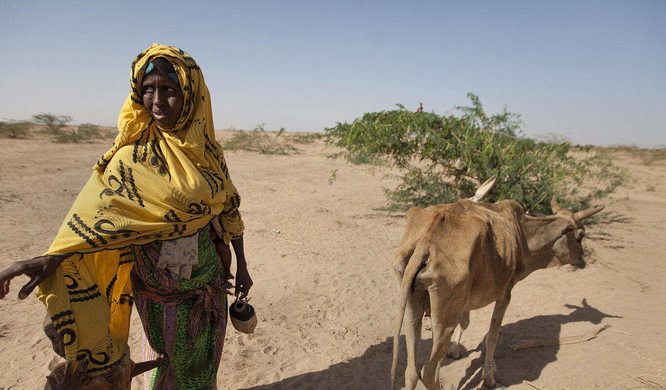 COVID-19: 50 million people threatened by hunger in West Africa - Oxfam ...