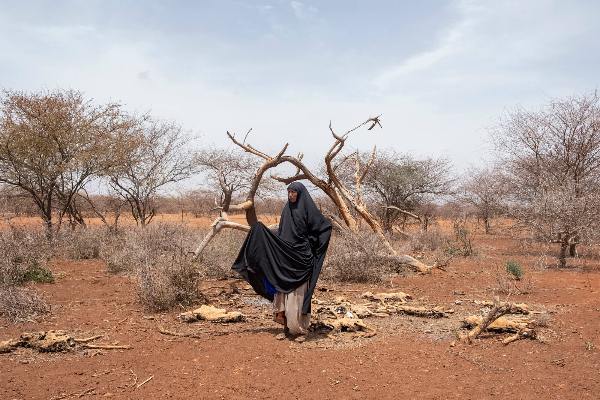 Life in drought-affected Wajir, Kenya - Oxfam Canada