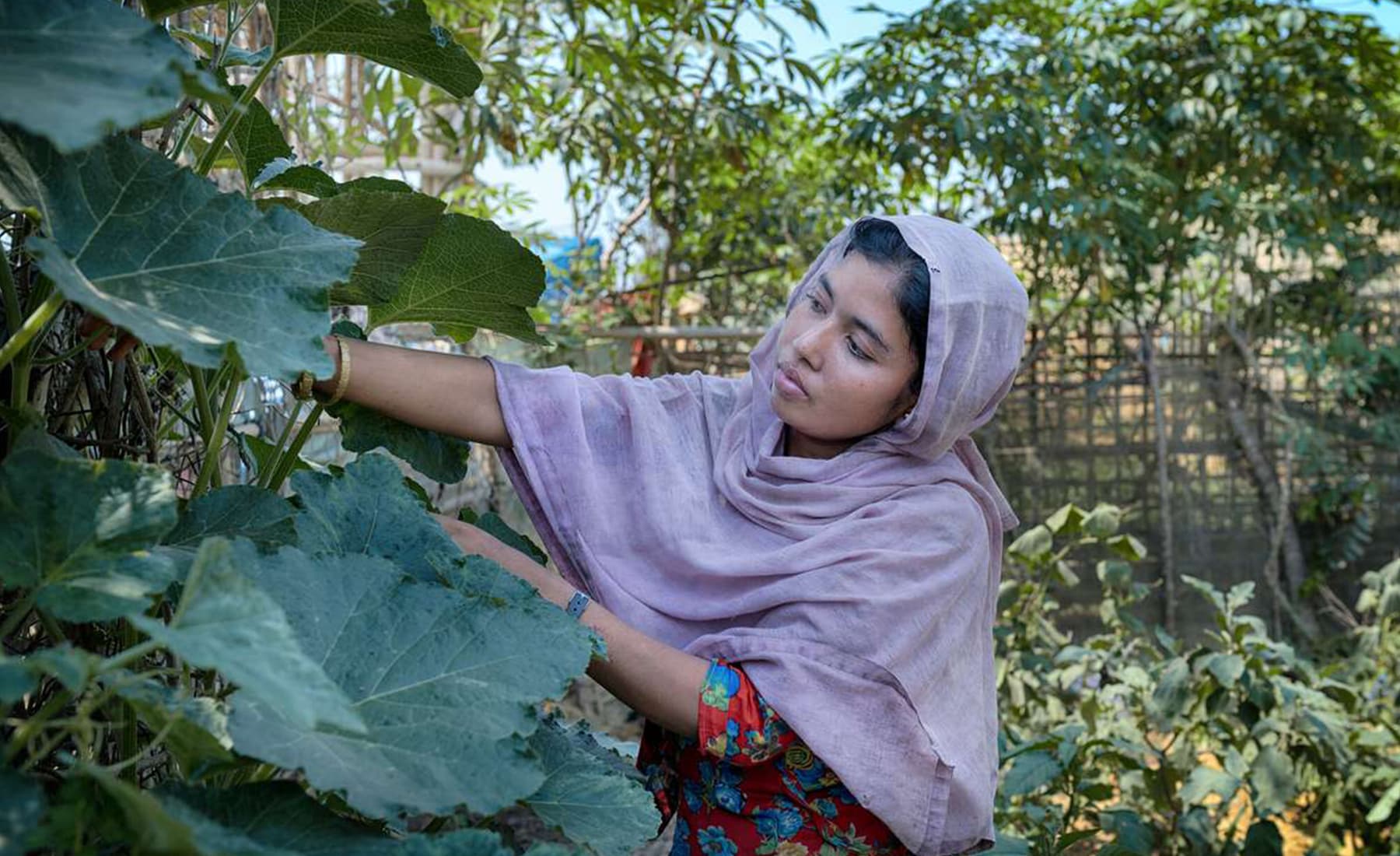 Finding safety, but struggling for better nutrition in refugee camp